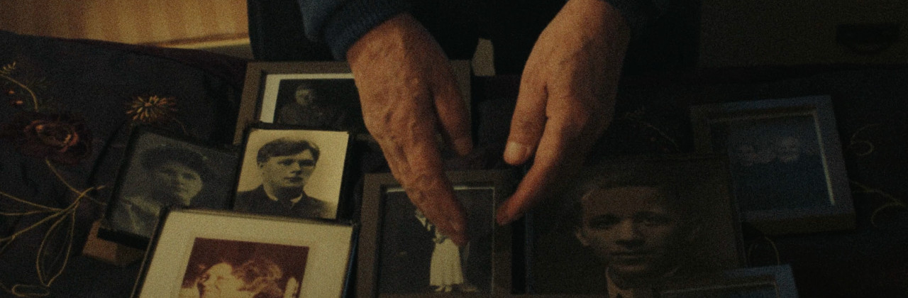 The Rootless - MYmovies ONE